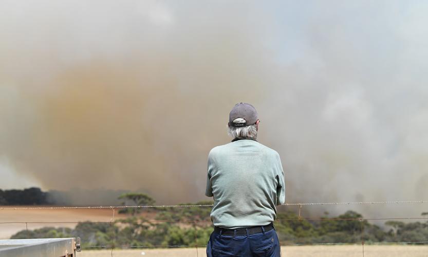 Shared Post-Black Summer Bushfires Leave Lasting Impact On M